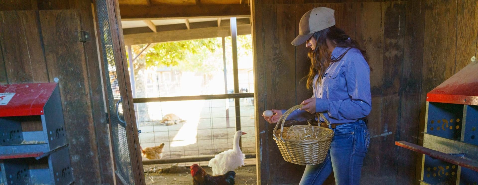 New Barnyard Members | Alisal Ranch | Blog