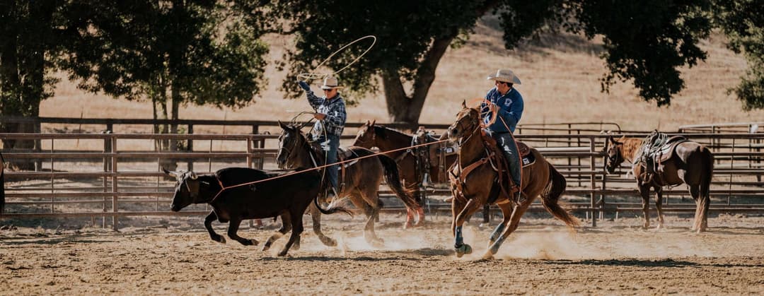 Alisal Rodeo | California Experiences | Alisal Ranch Activities