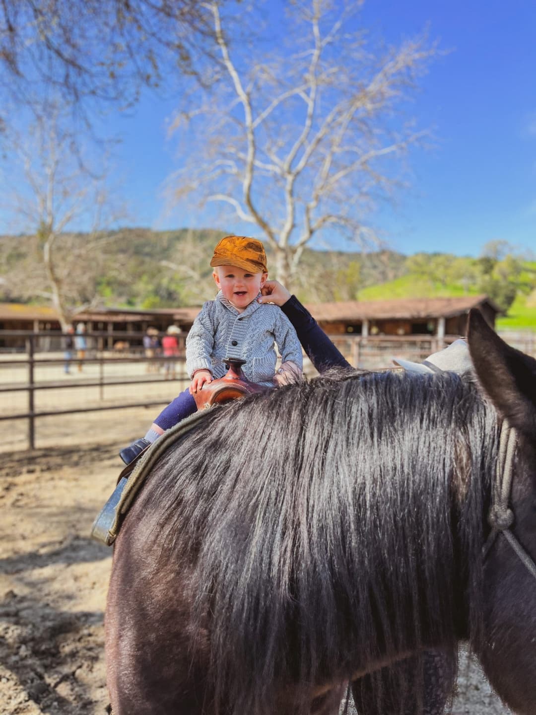 Horseback Riding - Lead Around - Alisal Ranch API