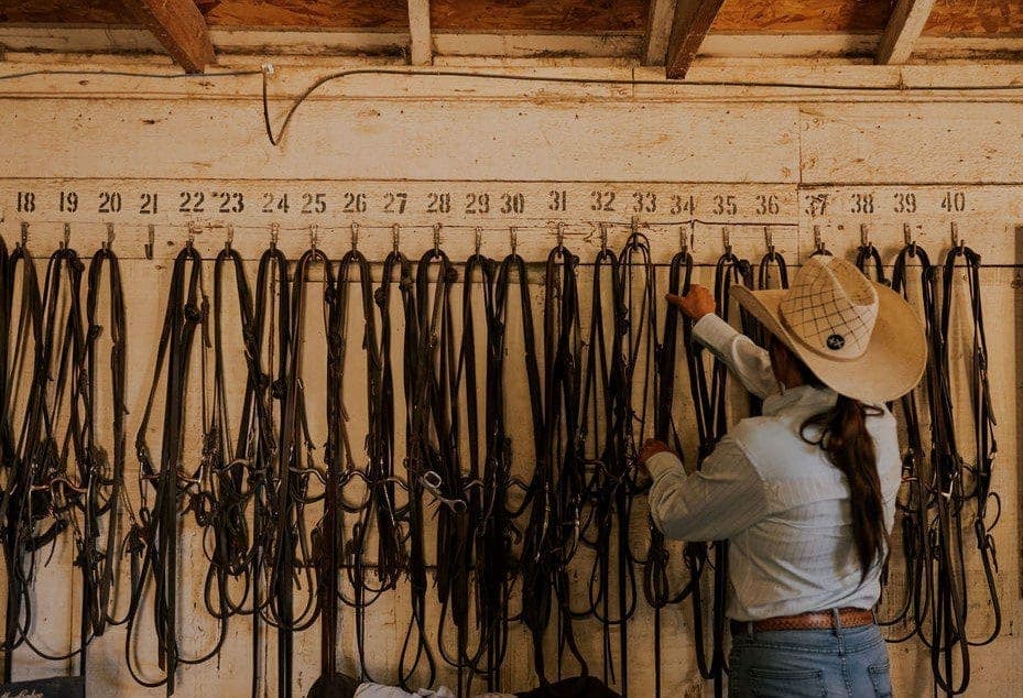 Luxury Dude Ranch Vacations with Family Packages | Alisal Ranch