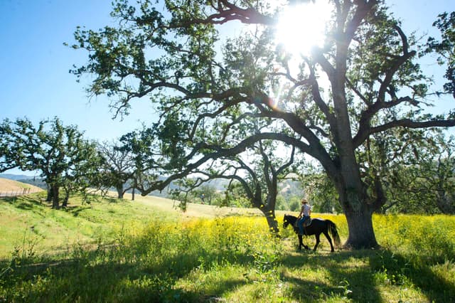 Spring at The Ranch | Alisal Ranch
