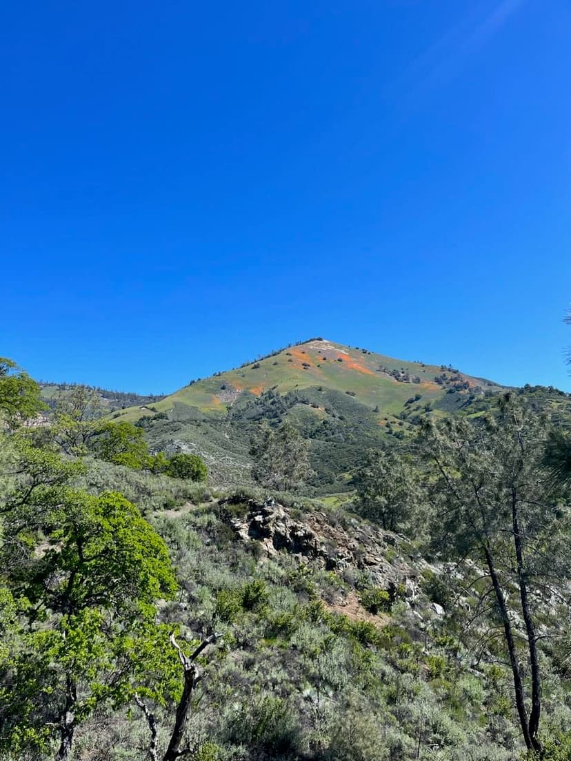 Alisal Ranch Blog | California's Luxury Dude Ranch