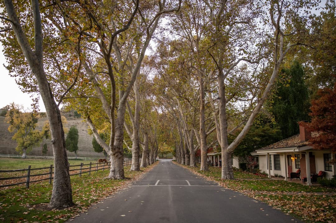 Fall Getaway | Alisal Ranch | Blog