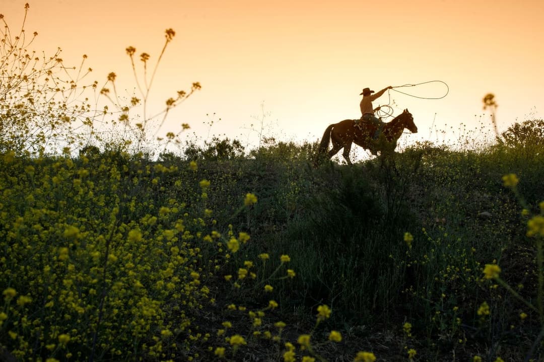 Activity Guides - Alisal Ranch API