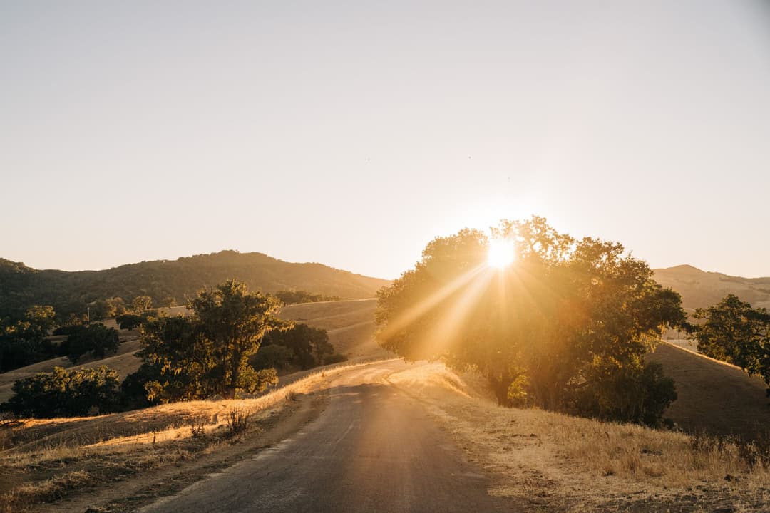 Special Offer | Alisal Ranch