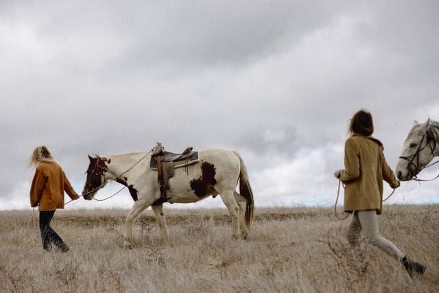 Special Offer | Alisal Ranch