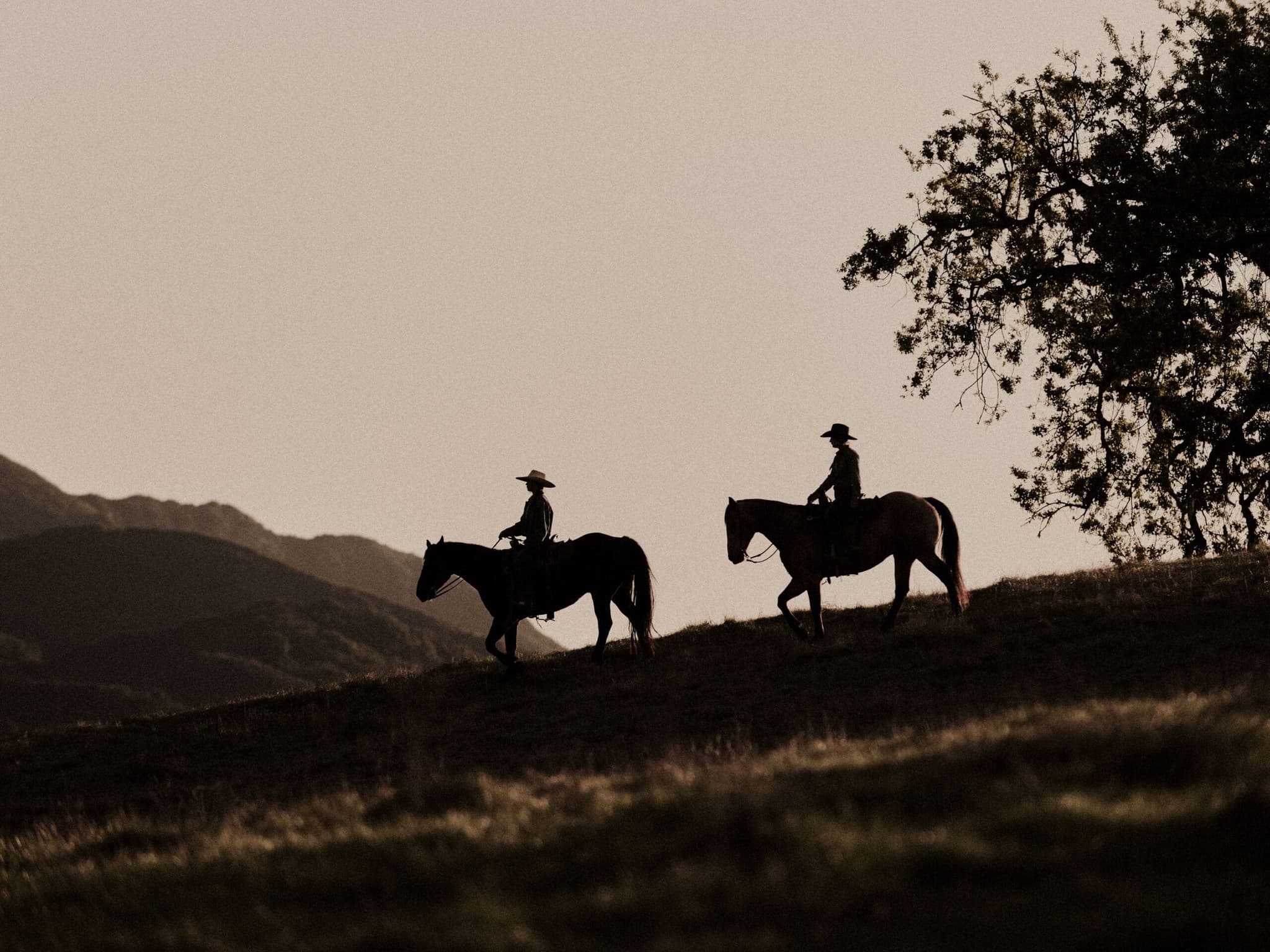 Activity Guides - Alisal Ranch API