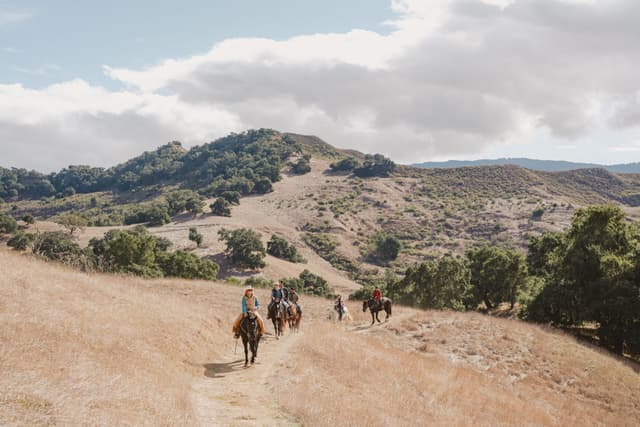 Exclusive Offer - Alisal Ranch API