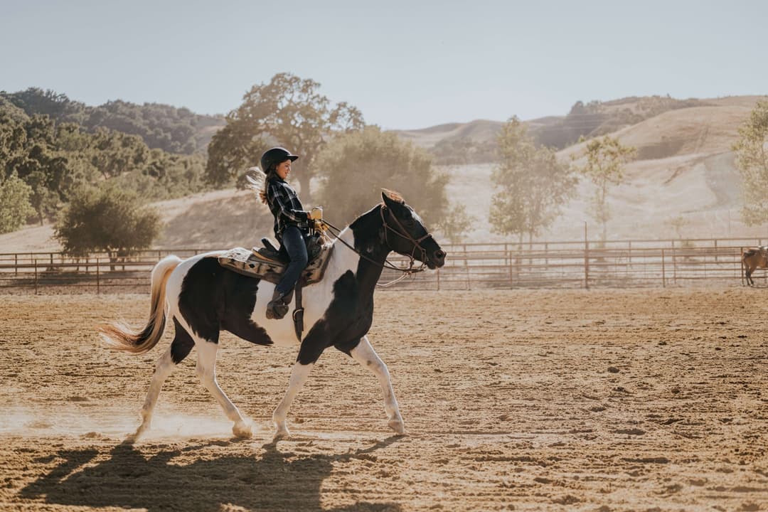 Horseback Riding - Corral Lessons - Alisal Ranch API