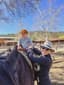 Horseback Riding - Lead Around - Alisal Ranch API