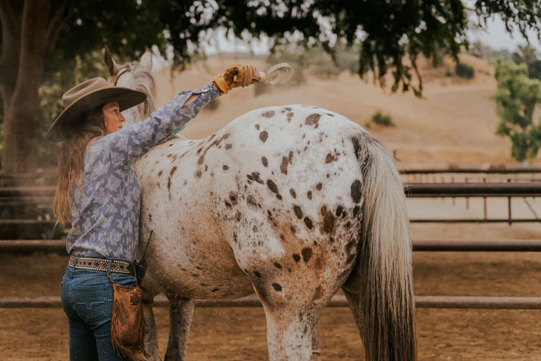 Breakfast Ride | Alisal Horseback Riding | Family Activities