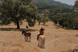 Plan a Luxury California Resort Vacation | Alisal Ranch